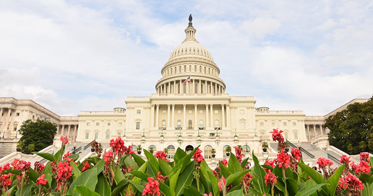 Senators Introduce New Version of CASA | The Foundation for Individual ...