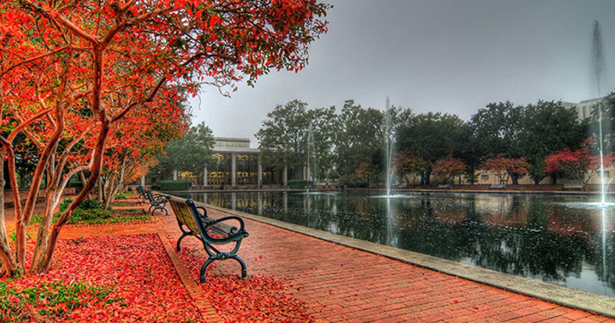 Colleges Rush to Violate Free Speech, Due Process in Response to Speech ...