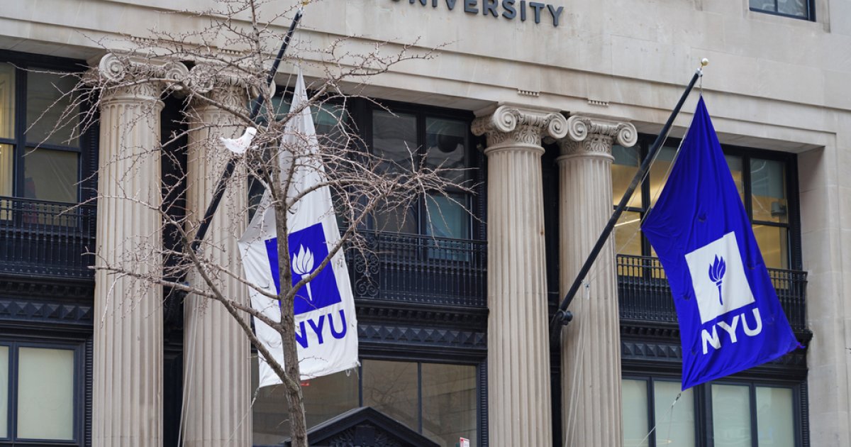 NYU grad student employee fired, investigated for writing on garbage ...